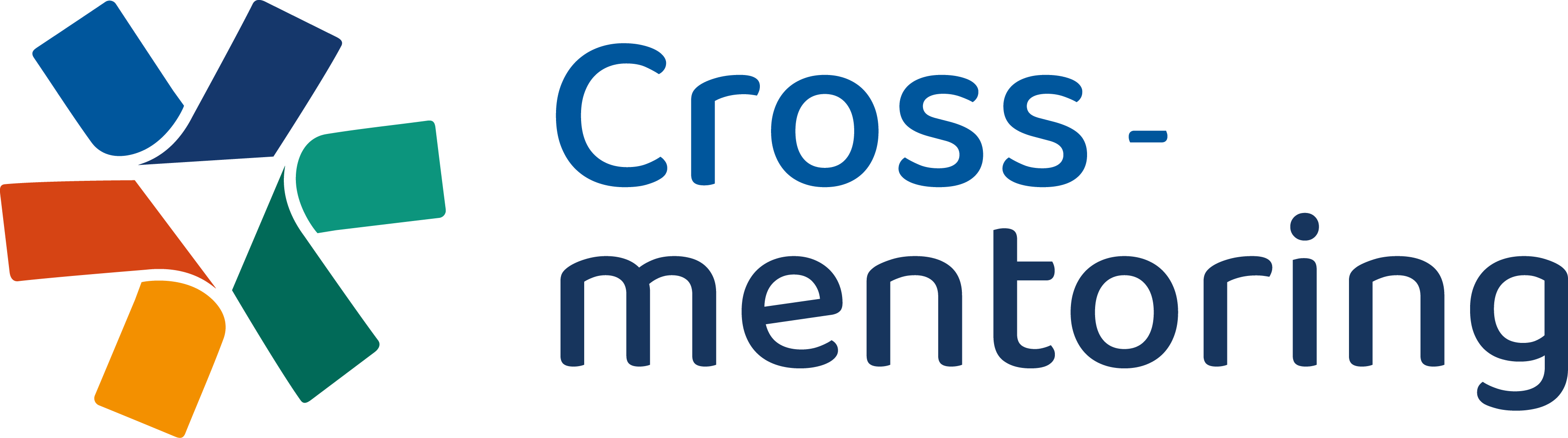 Cross-mentoring - Onderwijs - Publieke sector - PwC