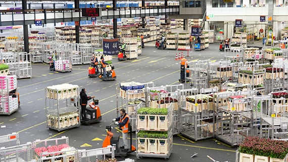 Key findings - Netherlands - PwC's 21st CEO Survey: PwC