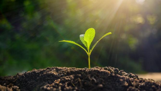 Fit for Growth - PwC