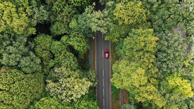 Building blocks for net zero transformation - Sustainability - PwC
