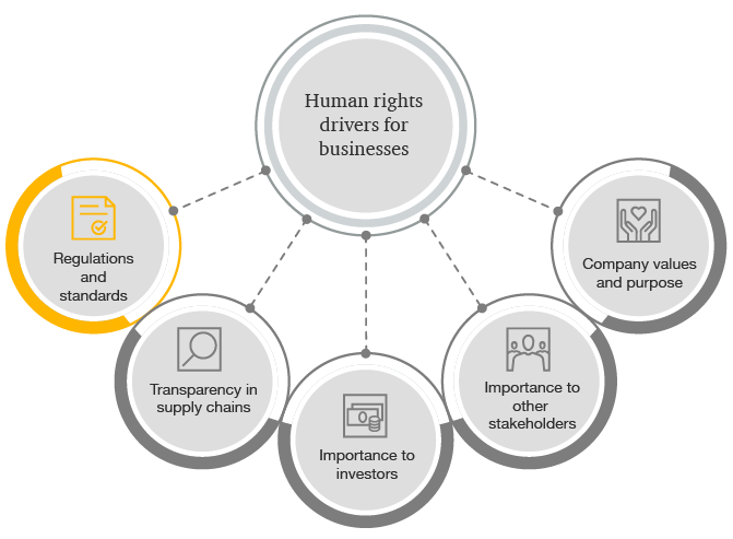Human rights - PwC