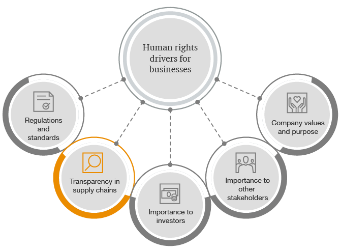 Human rights - PwC