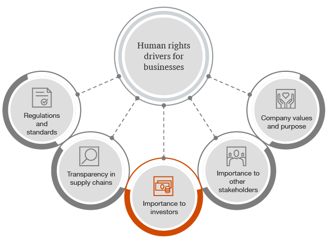 Human rights - PwC