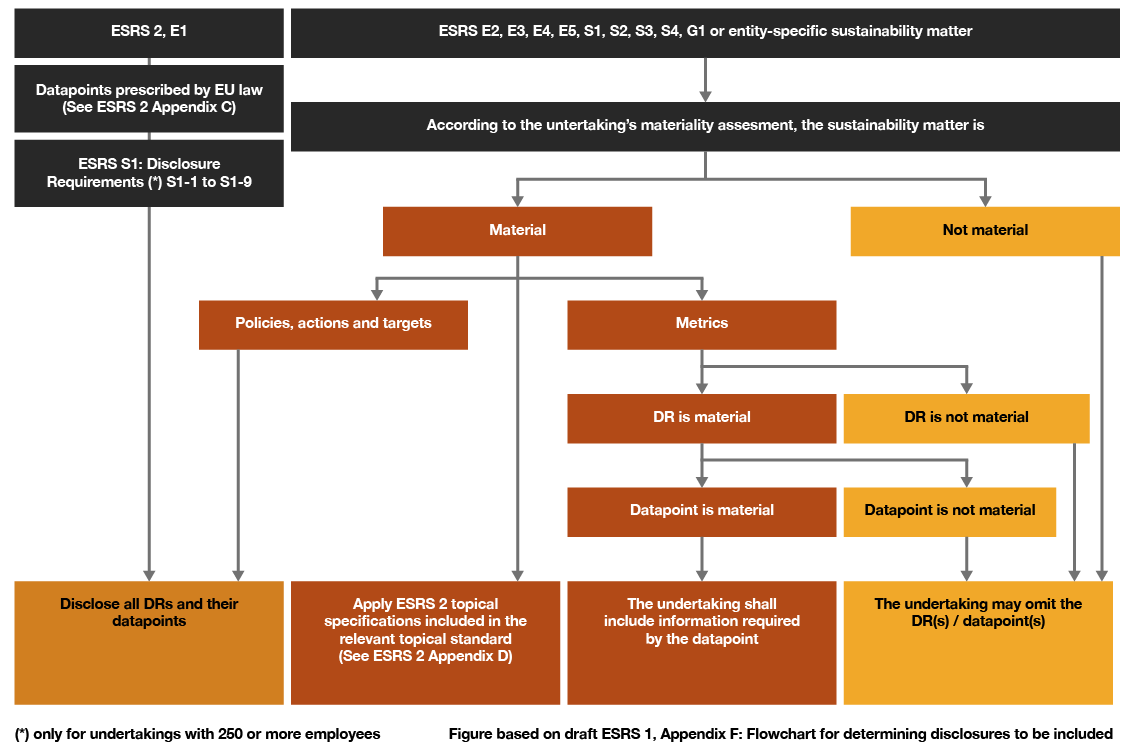 New ESRSs published - Corporate Sustainability Reporting Directive ...