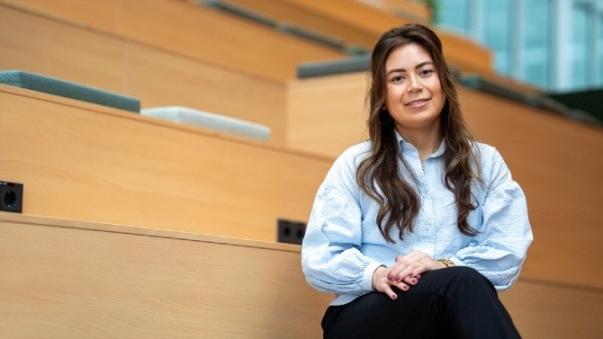 Inez de van der Schueren - Carrière - PwC